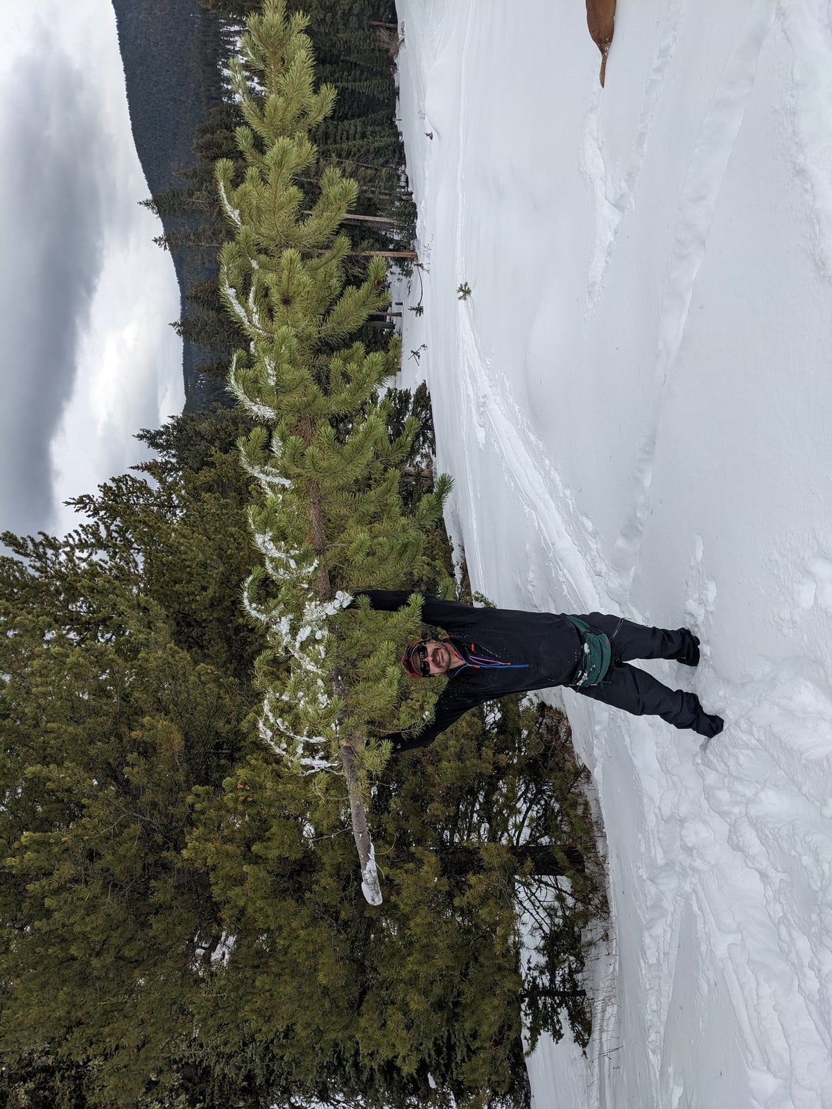 Merry MLTSHPmas 2022 | MLTSHP