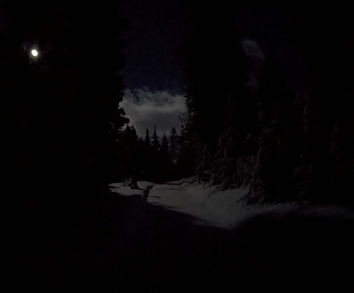 12 hours of light - moonlight | MLTSHP