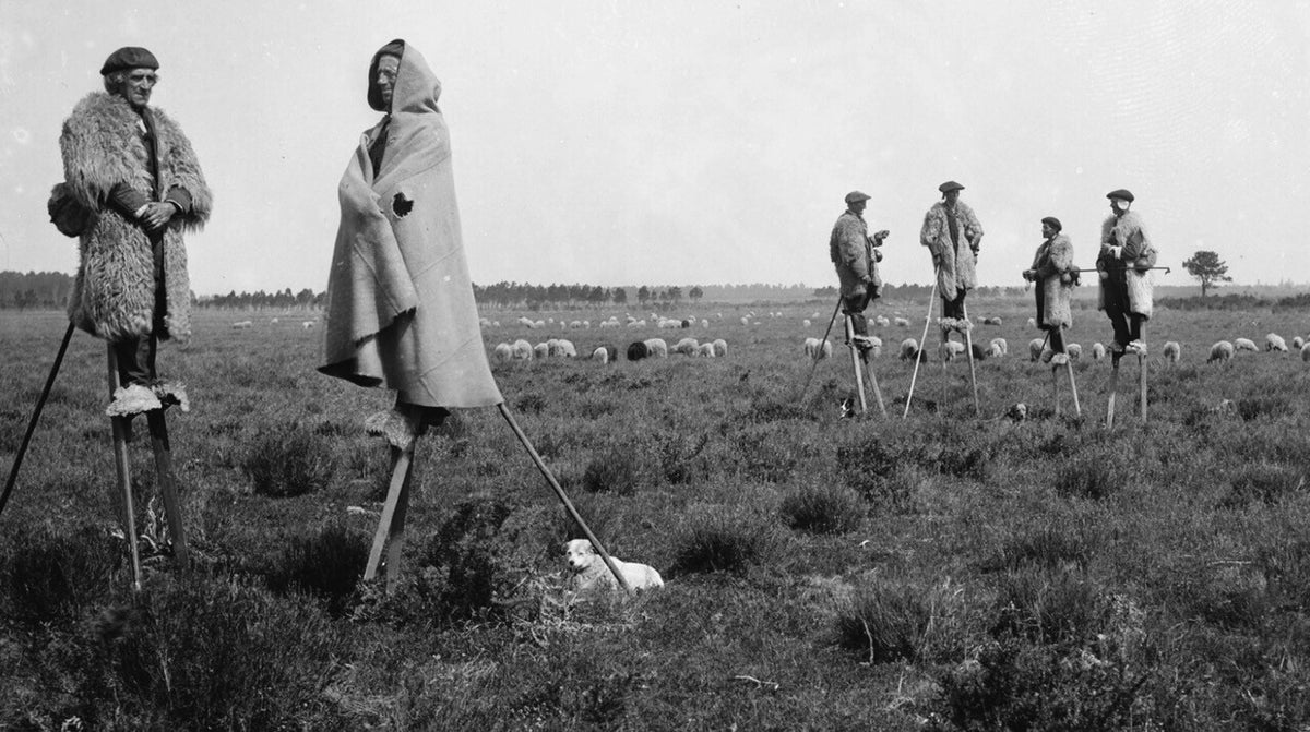 Shepherds on Stilts, 19th c France | MLTSHP