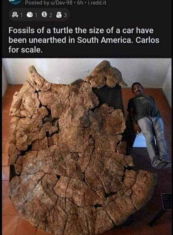 Anything but the metric system | MLTSHP