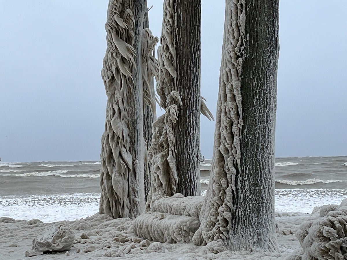 picnic table, xmas eve 2022 | MLTSHP