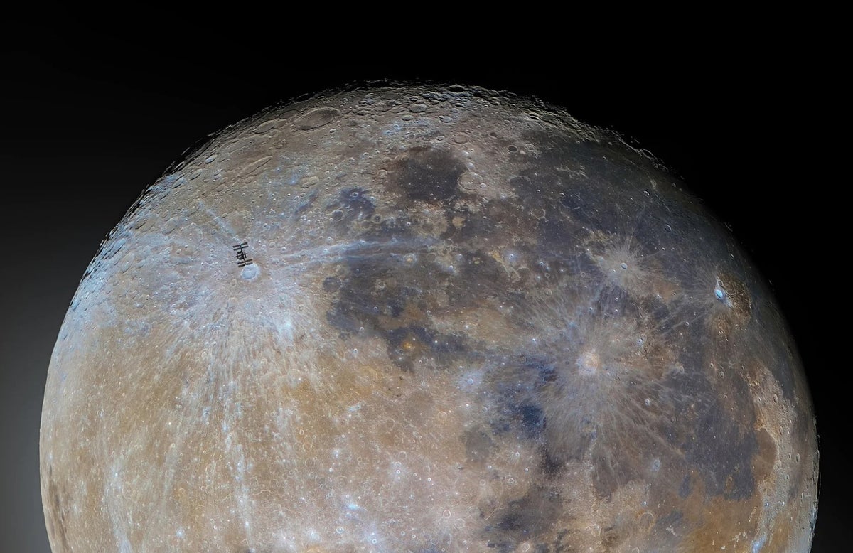 A Visit to Tycho | MLTSHP