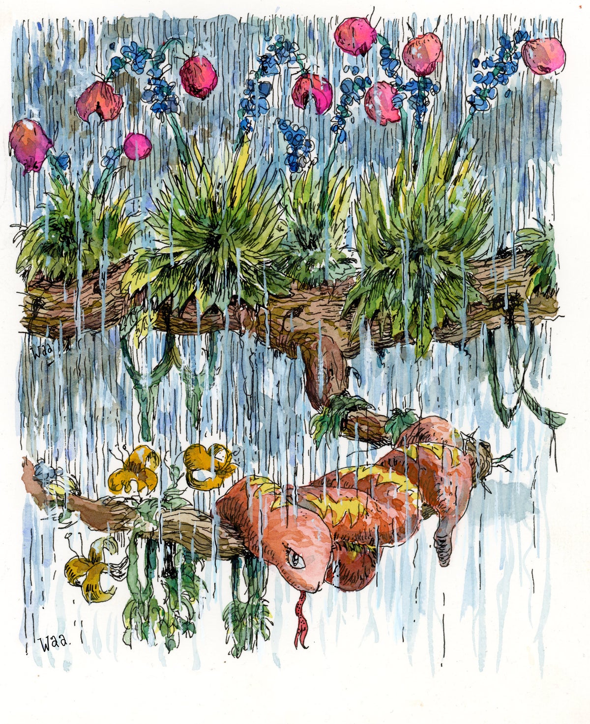 The Portent | MLTSHP