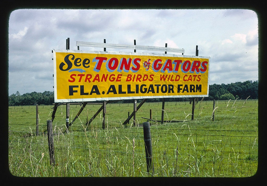"Billboard, Florida Alligator Farm, Route 301, Florida" - John Margolies, c 1979 | MLTSHP