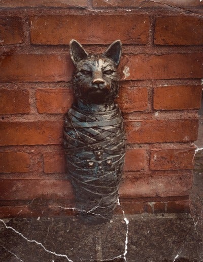 Odd to see this pop up on tumblr | MLTSHP