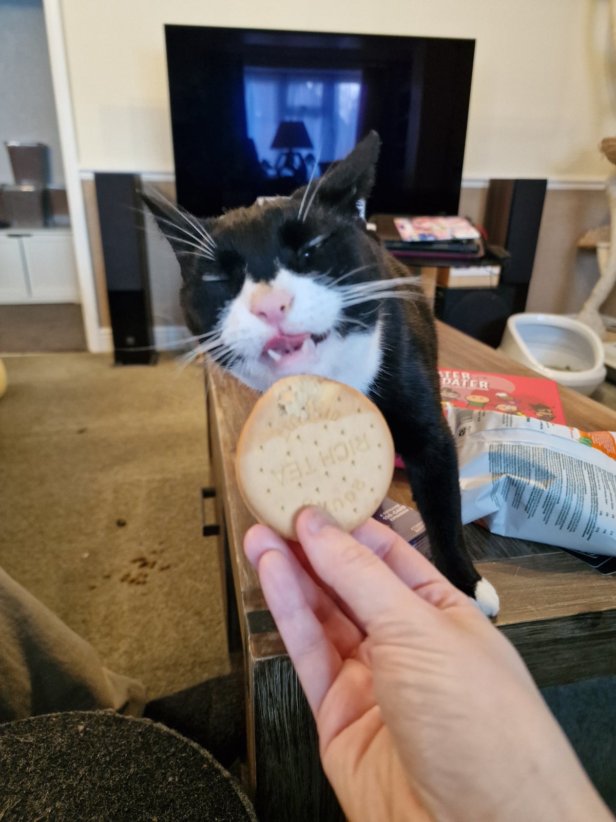 taste the biscuit | MLTSHP