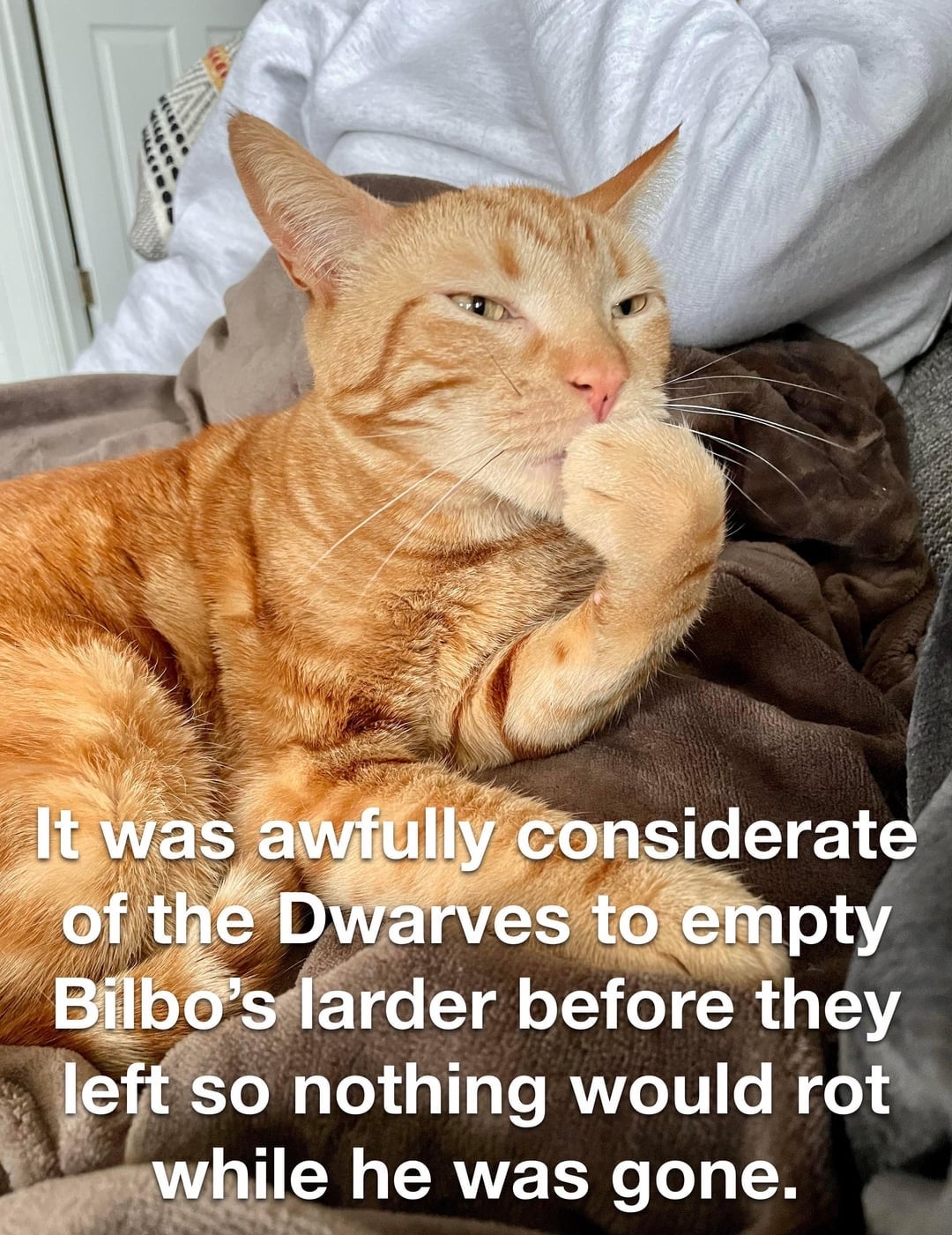 consider, if you will | MLTSHP