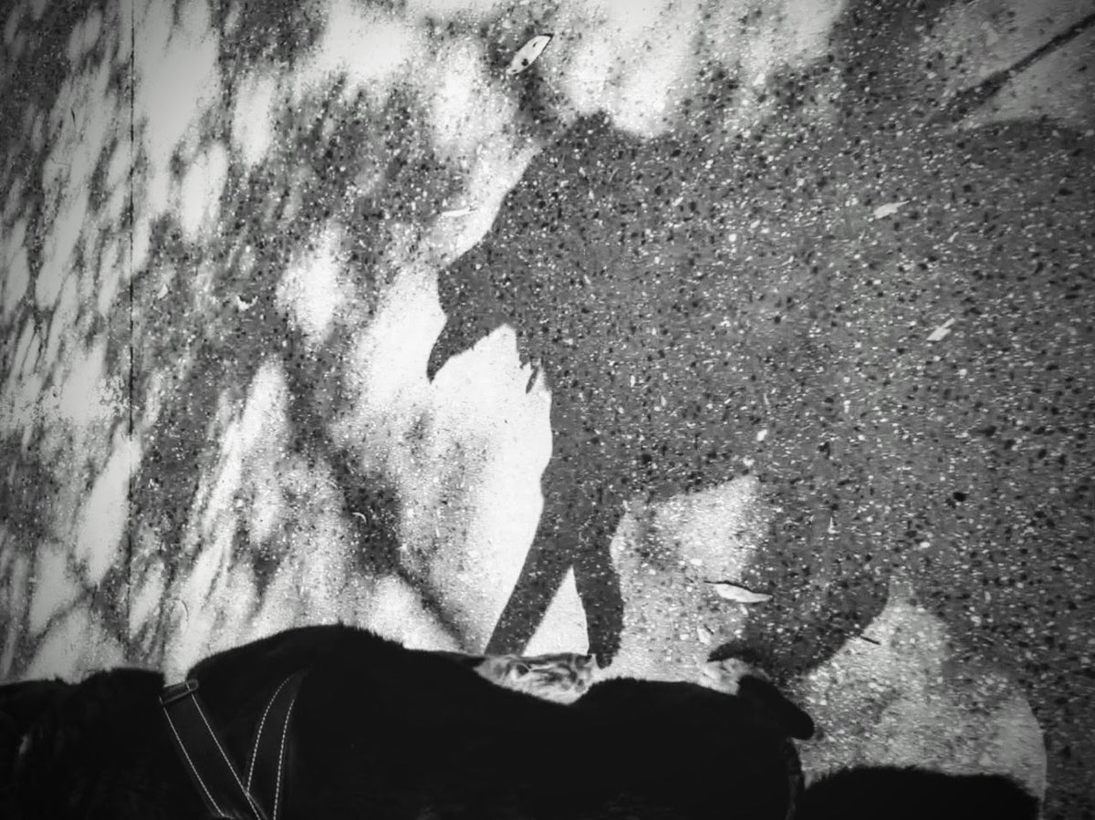 If you don't know how to do it.. | MLTSHP