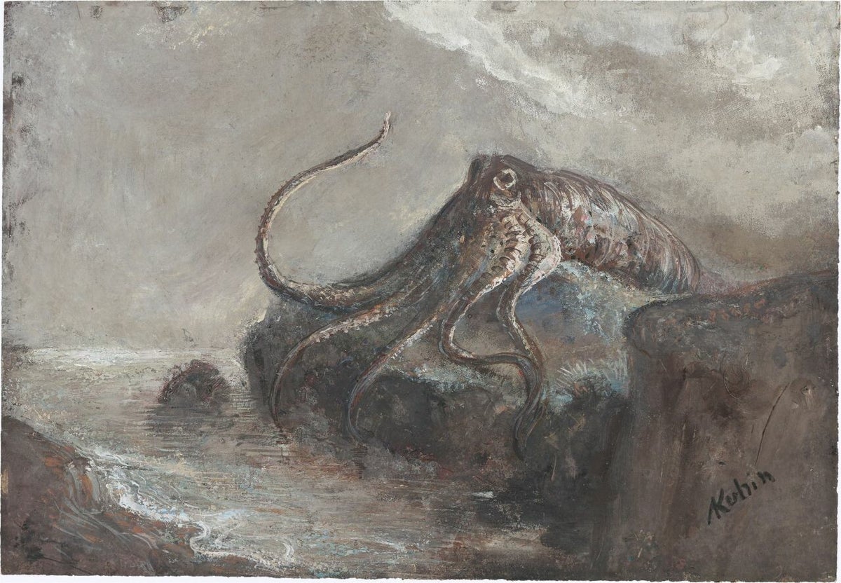 Kraken, on the rocks | MLTSHP