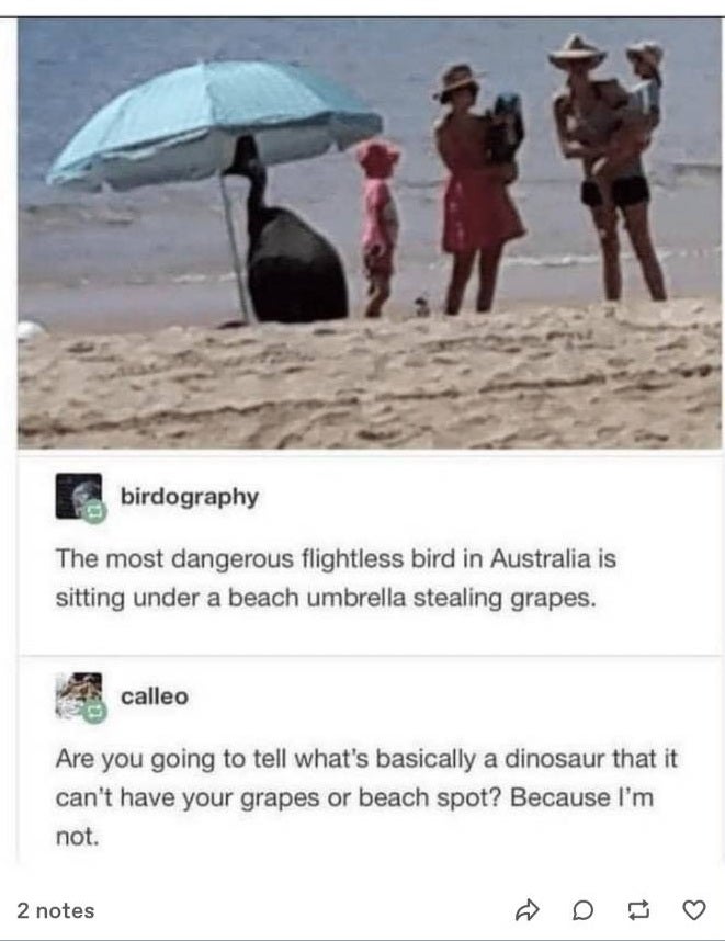 Cassoworried? Yeah, nah | MLTSHP