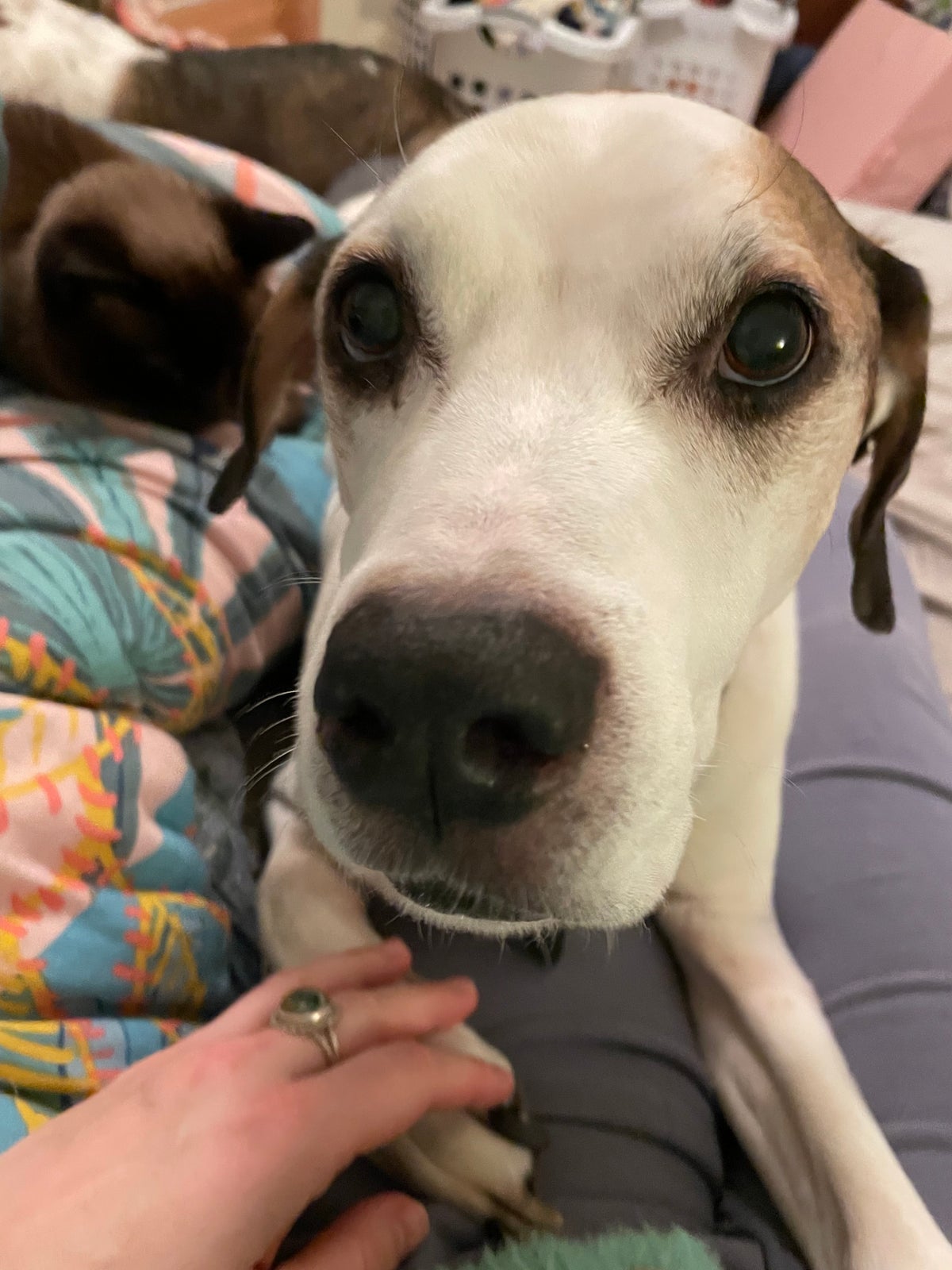 Thanks everyone! We are taken care of! | MLTSHP