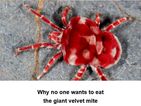 Um, speak for yourself buddy | MLTSHP