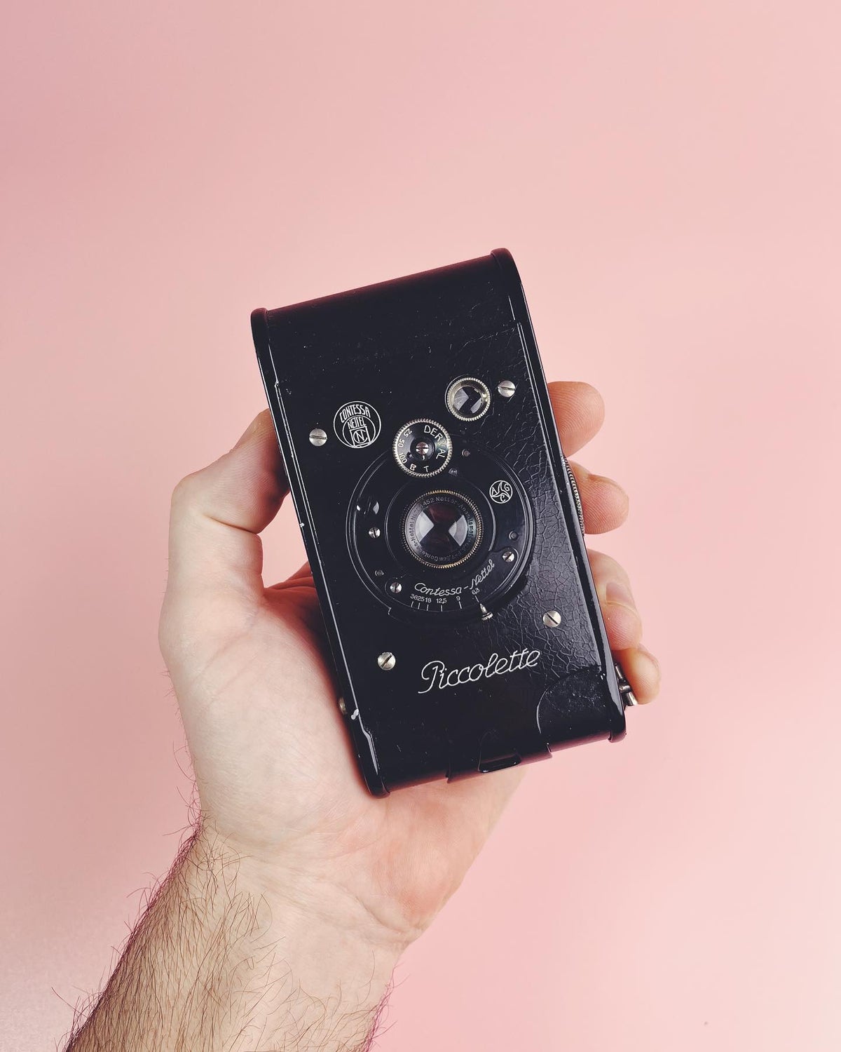 contessa-nettel picolette | MLTSHP