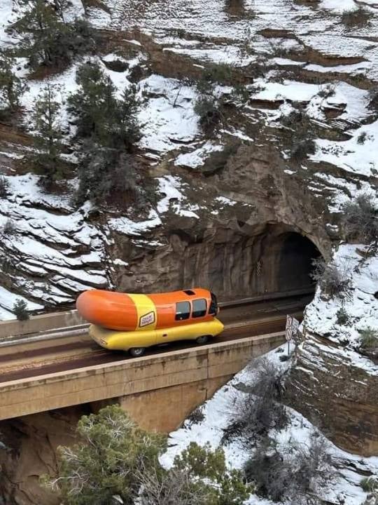 Winter's Bone | MLTSHP