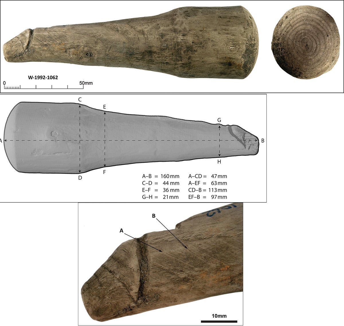 Dildo, used 2000 years ago, good as new | MLTSHP