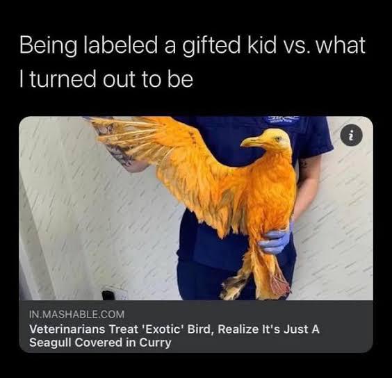 I was told the vindaloo would be hot. | MLTSHP