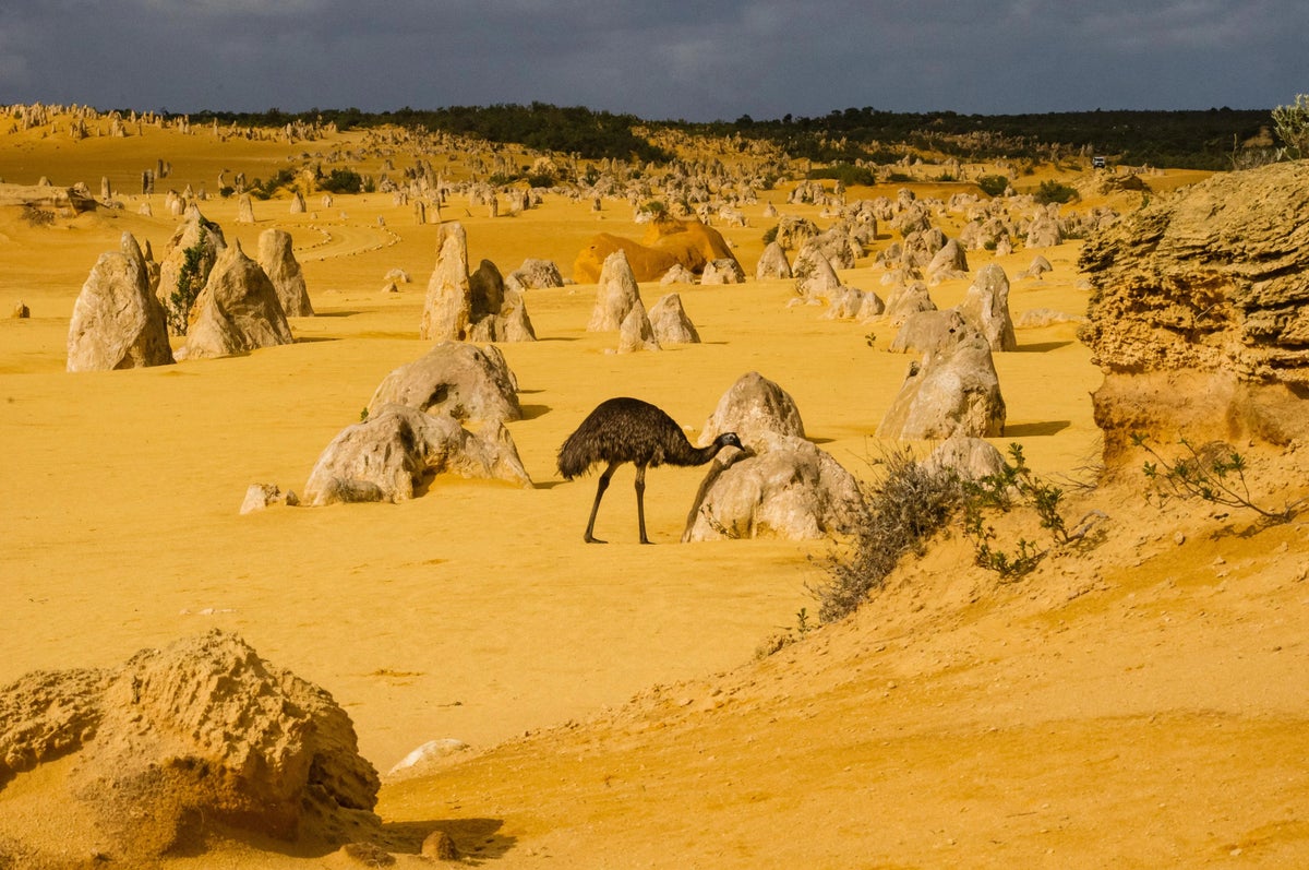 Emu + Pinnacles | MLTSHP