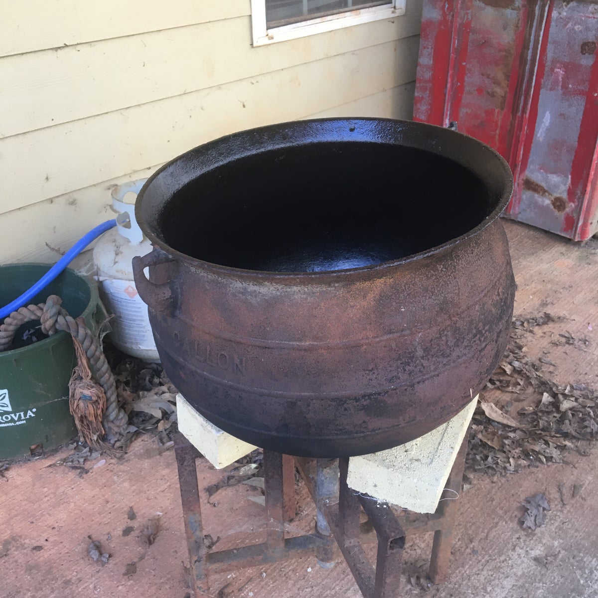 Mise en Scene. | MLTSHP