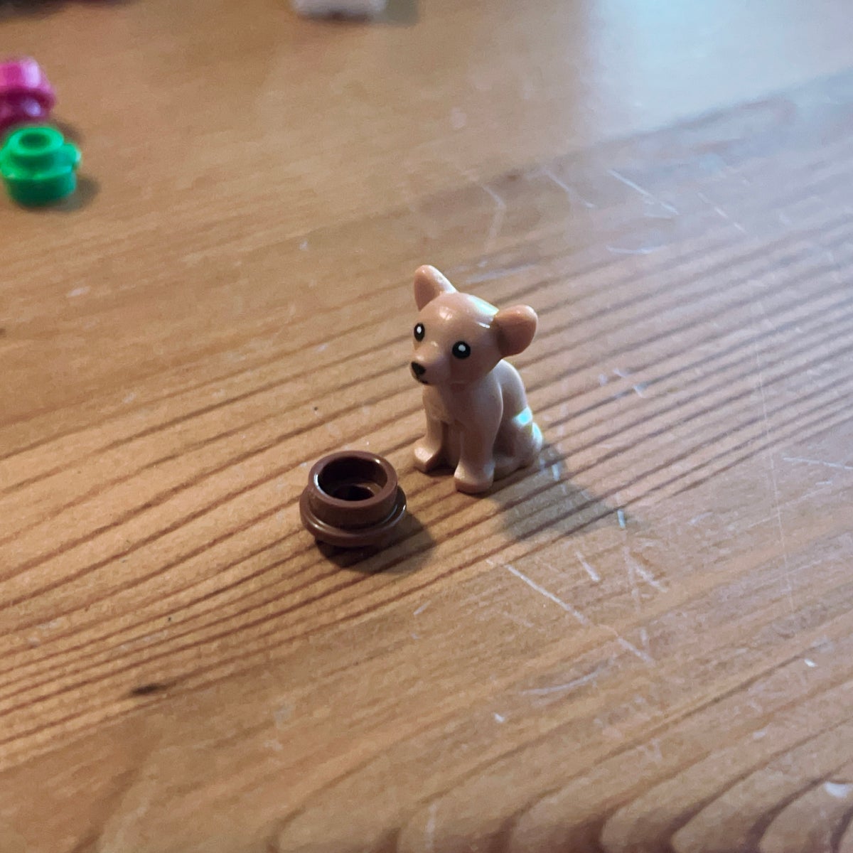 Dinner time for the tiniest dog. | MLTSHP