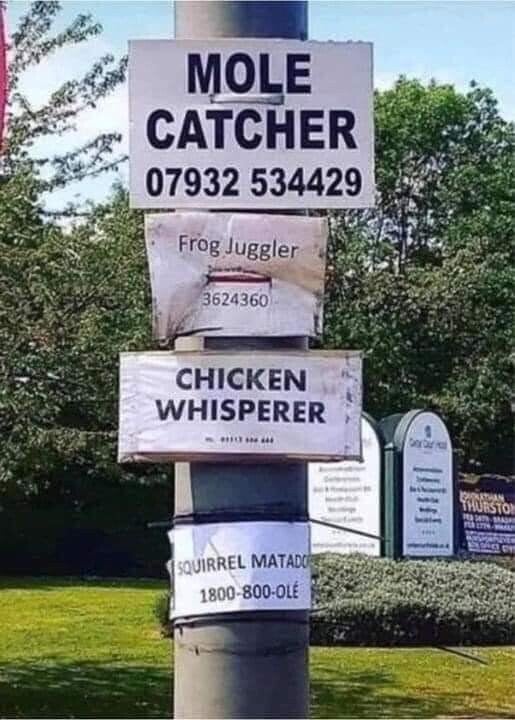 Someone's gotta do it.. | MLTSHP