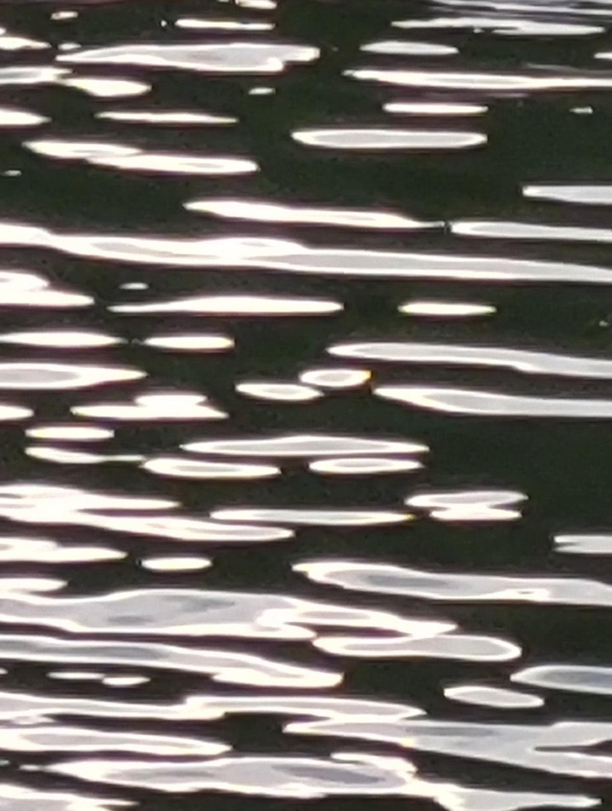 Umpteenth Water Abstraction | MLTSHP