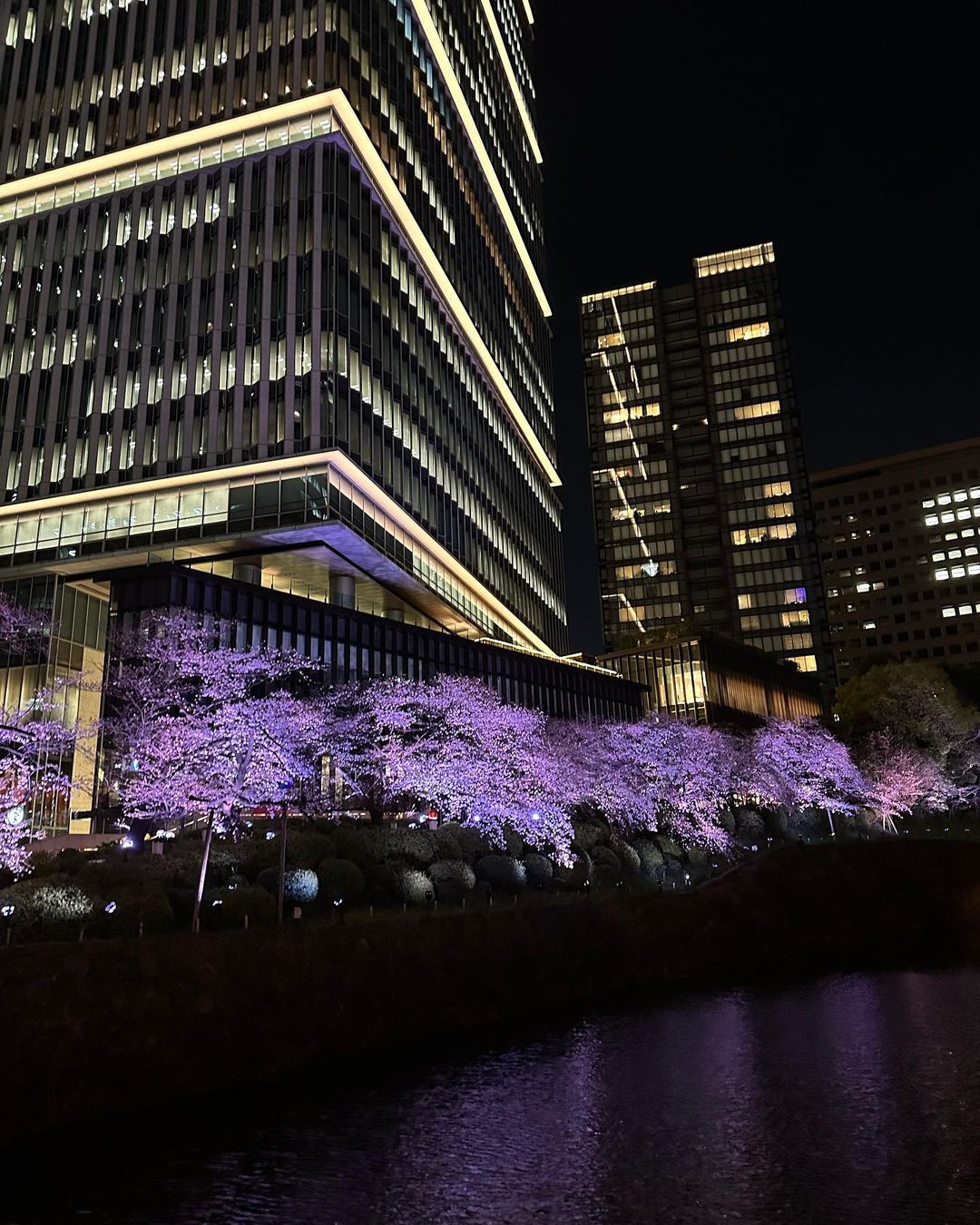 CHerry Baby.jpeg | MLTSHP