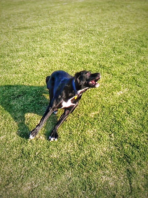 Colby ready to spring, 2012 | MLTSHP