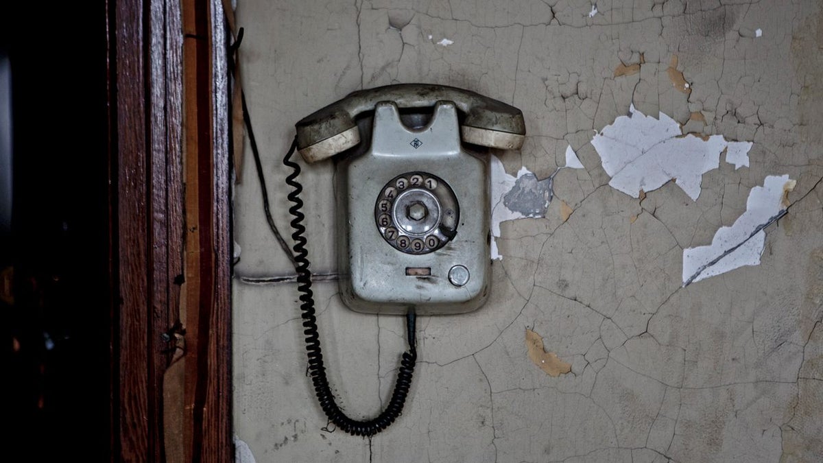 "on the third floor of the fort washington library" - zach gross | MLTSHP