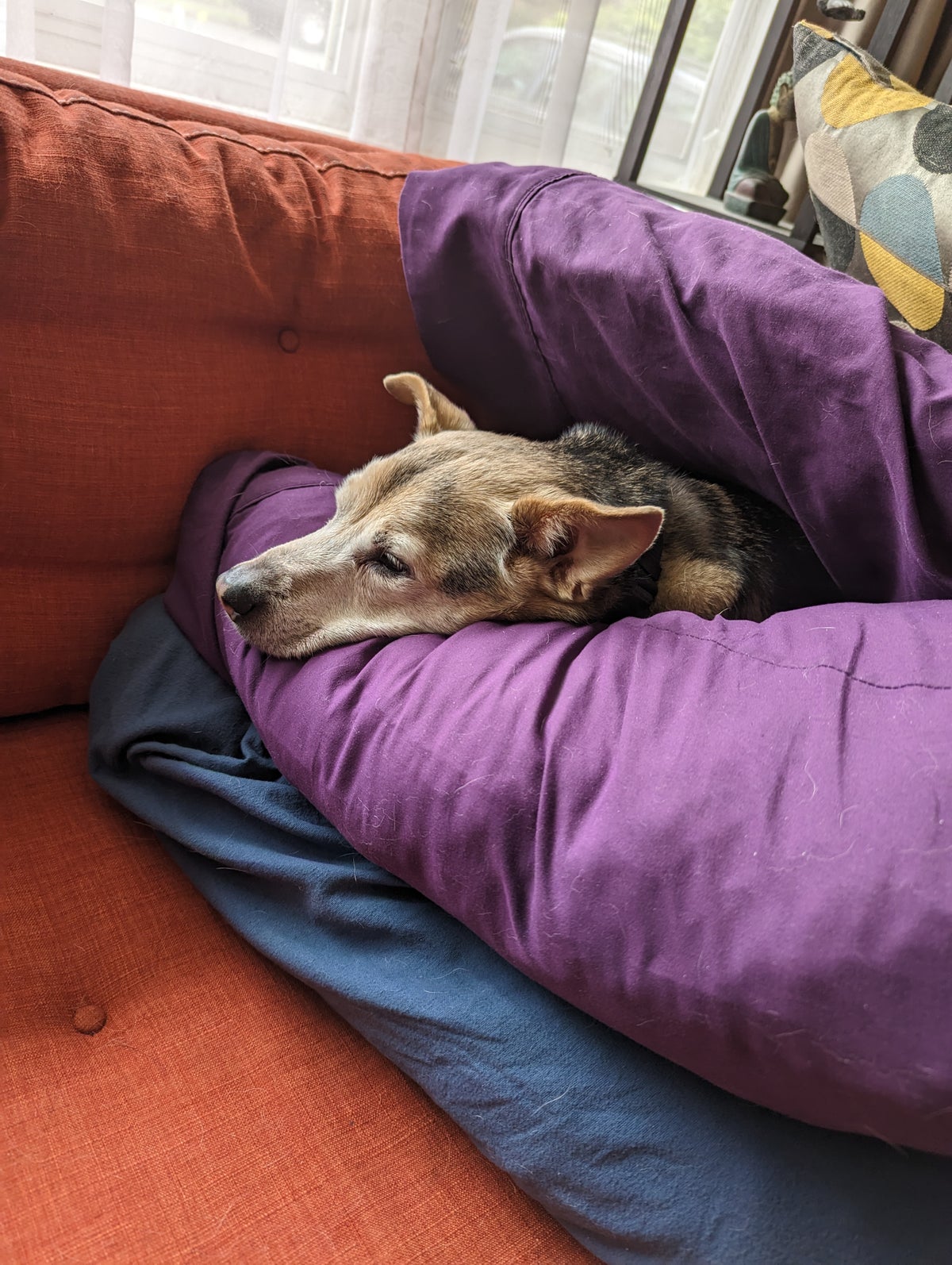 Donald's Pillow Cave | MLTSHP