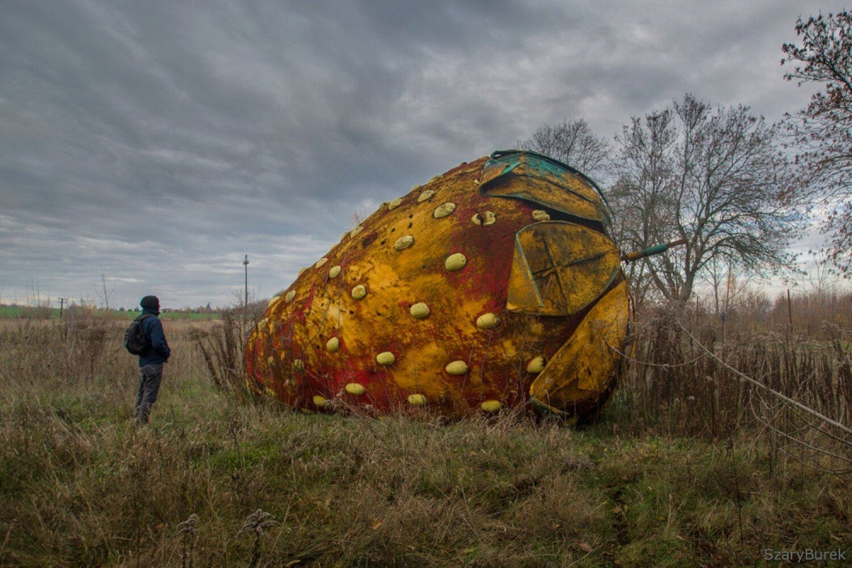 A Sad Big Unit | MLTSHP