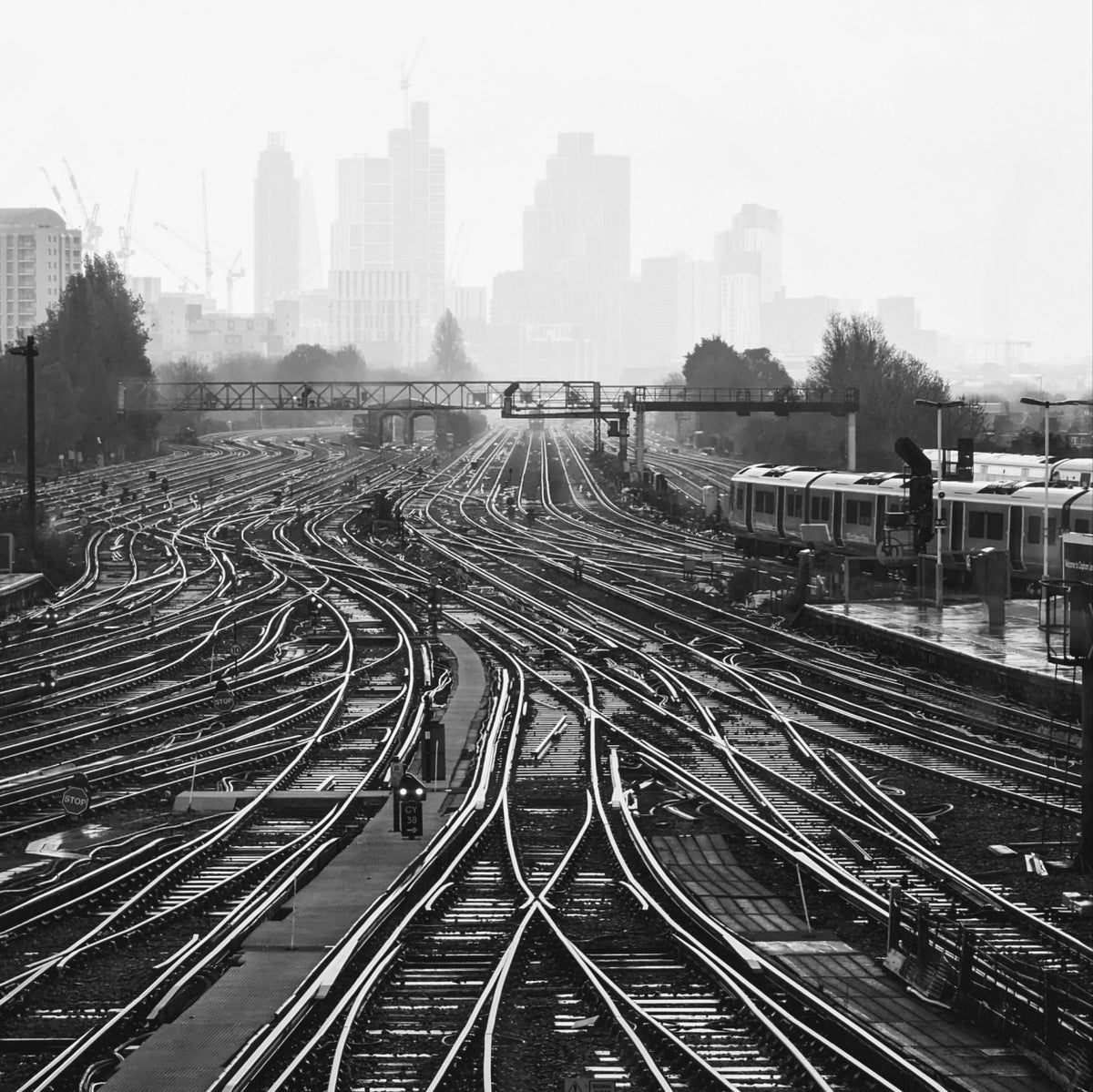 urban circulatory system | MLTSHP