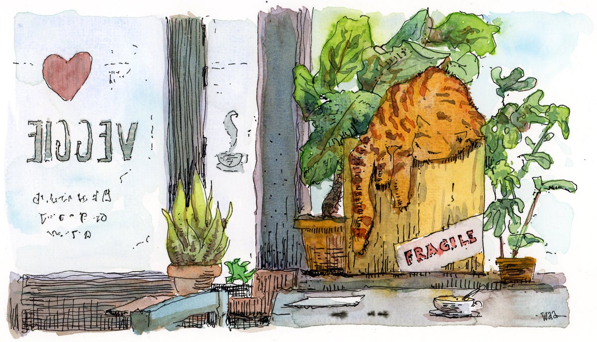 A few weeks ago, at my local Brazilian coffee bar | MLTSHP