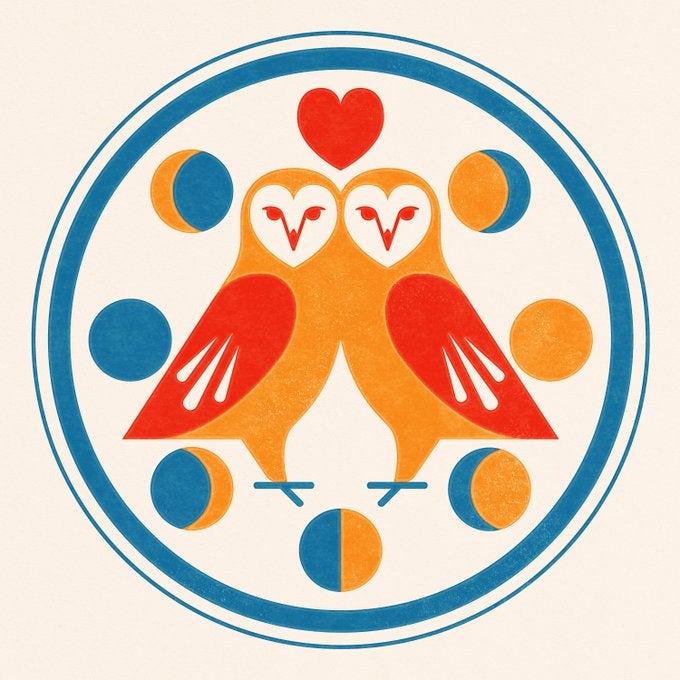 Barn Owl hex sign 🐦 by Alex Tomlinson | MLTSHP