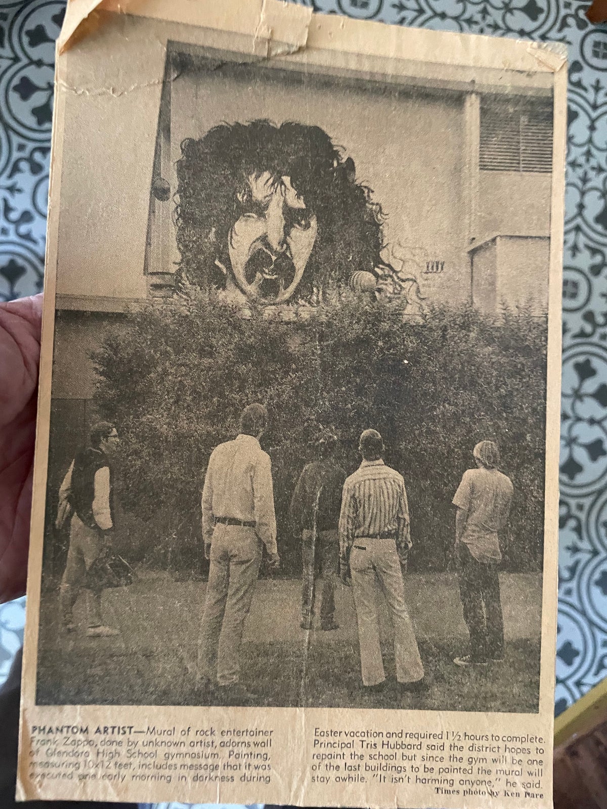 Where did they go? When did they come from? | MLTSHP