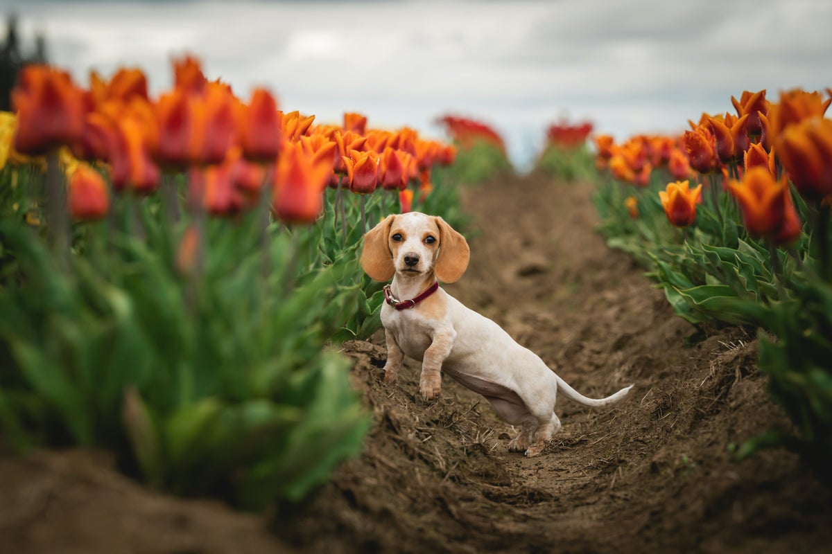 Oh, hello... | MLTSHP