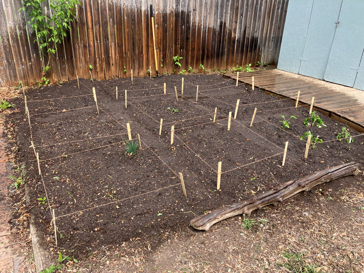 My little patch of dirt | MLTSHP