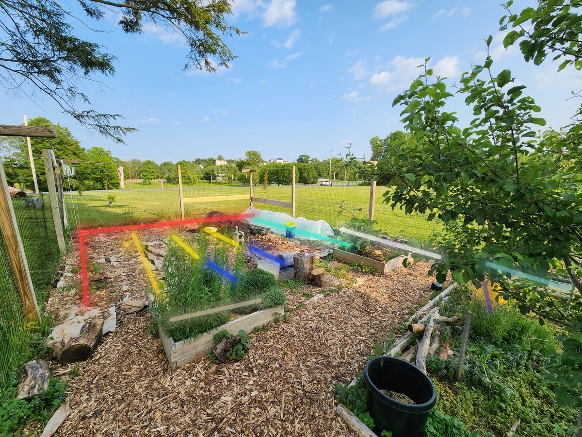 Garden 2023 | MLTSHP