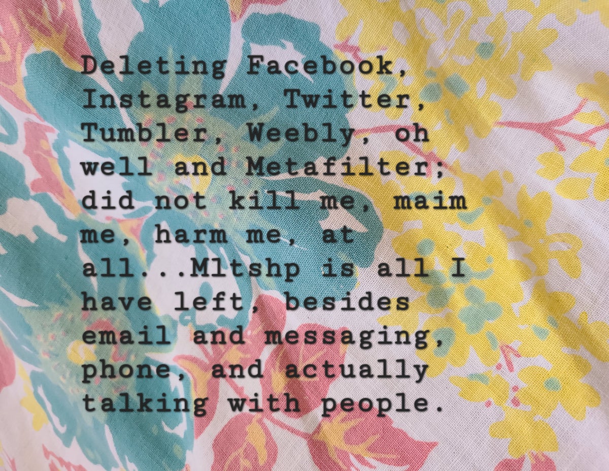 True Confession | MLTSHP