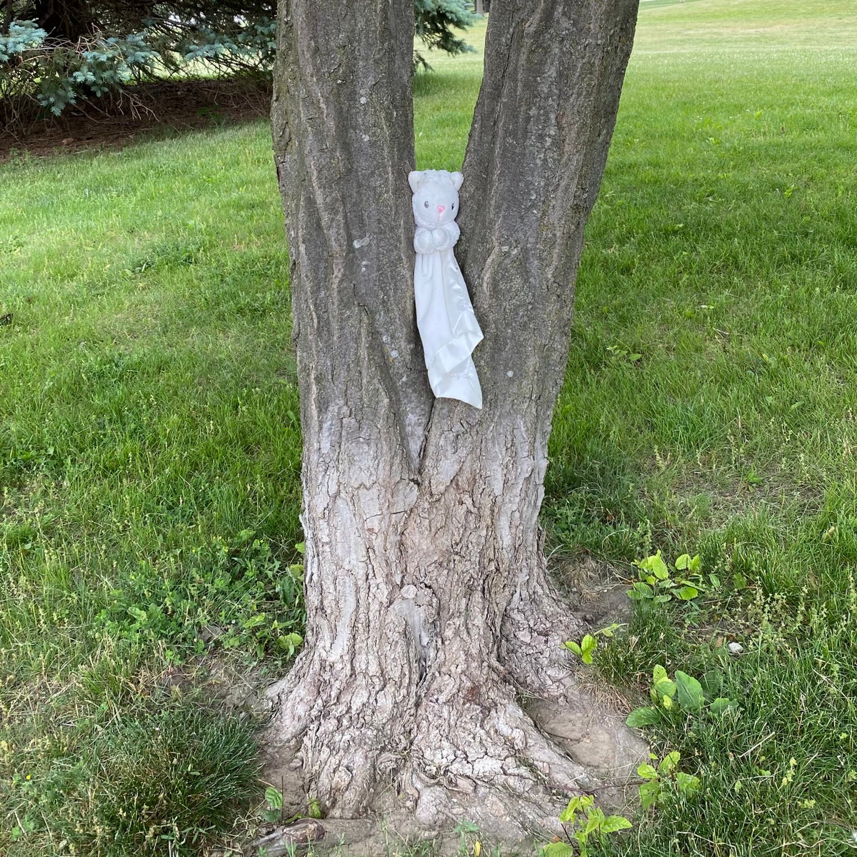 scene report | MLTSHP