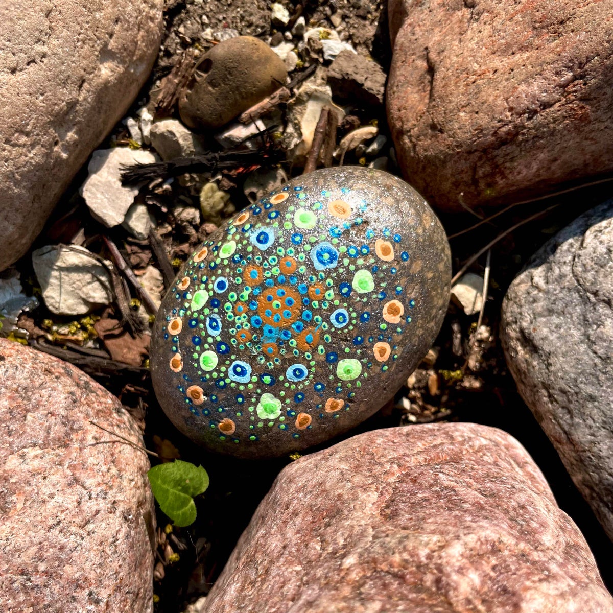 What I saw. | MLTSHP