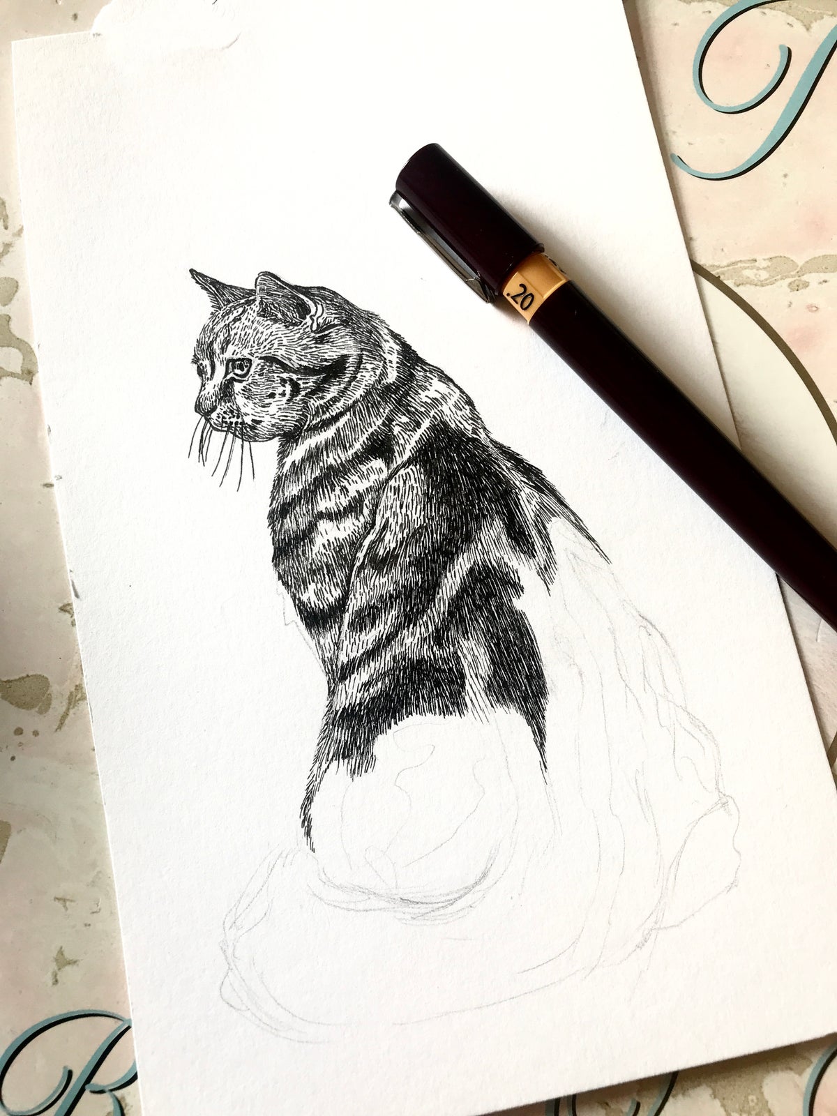 Drawing wip | MLTSHP