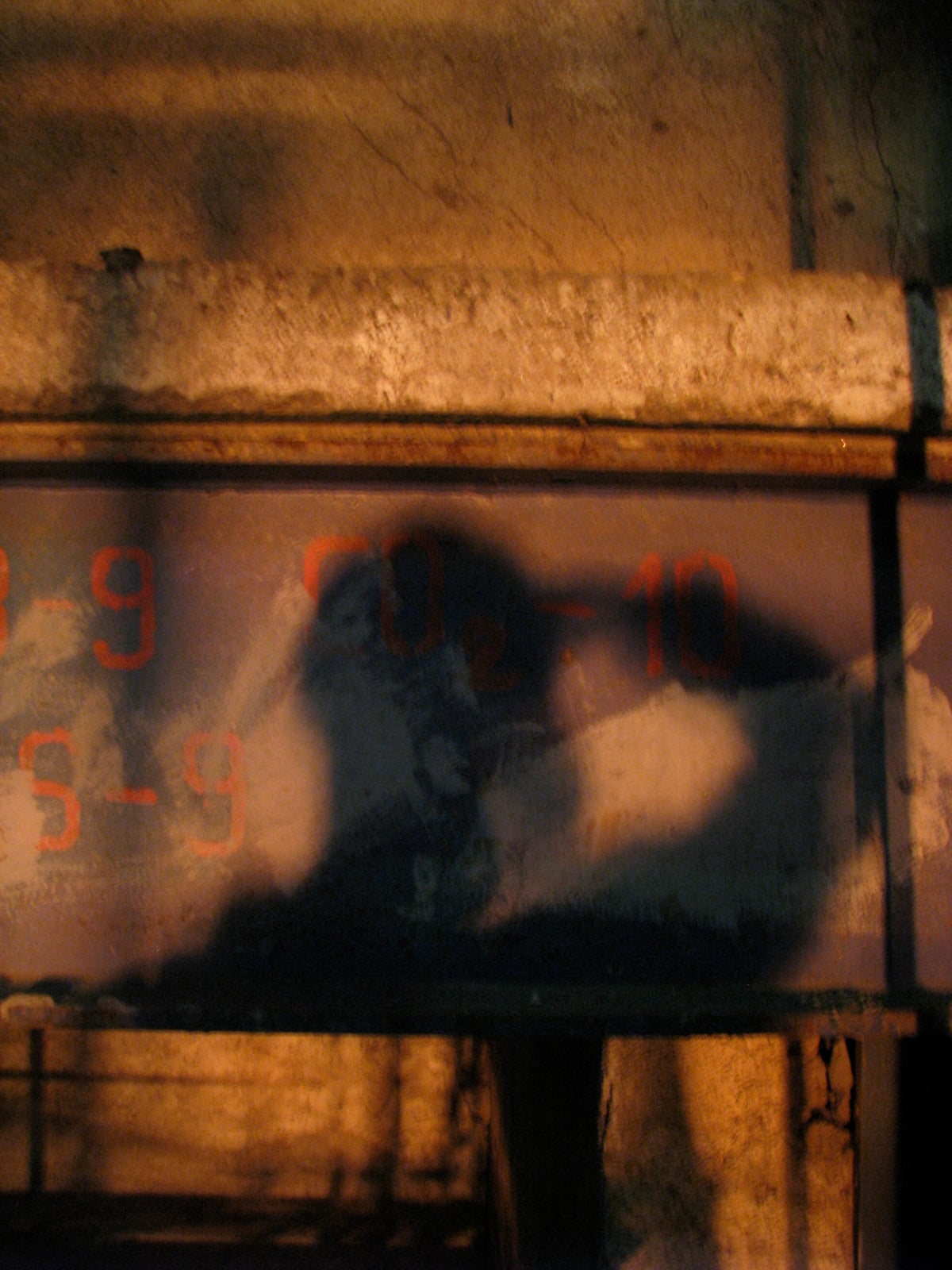 Shadow Selfie (molten iron edition) | MLTSHP