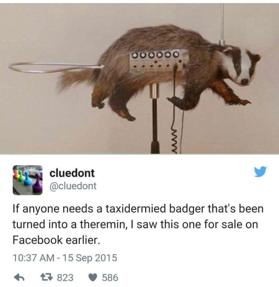 Badger, badger, badger… | MLTSHP