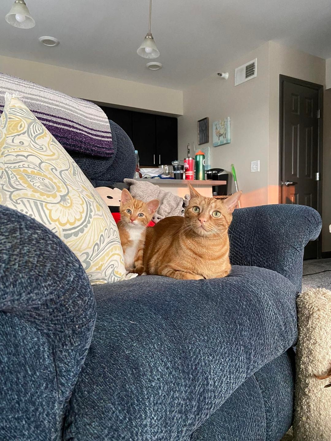 “Don’t ever talk to me or my son ever again” | MLTSHP