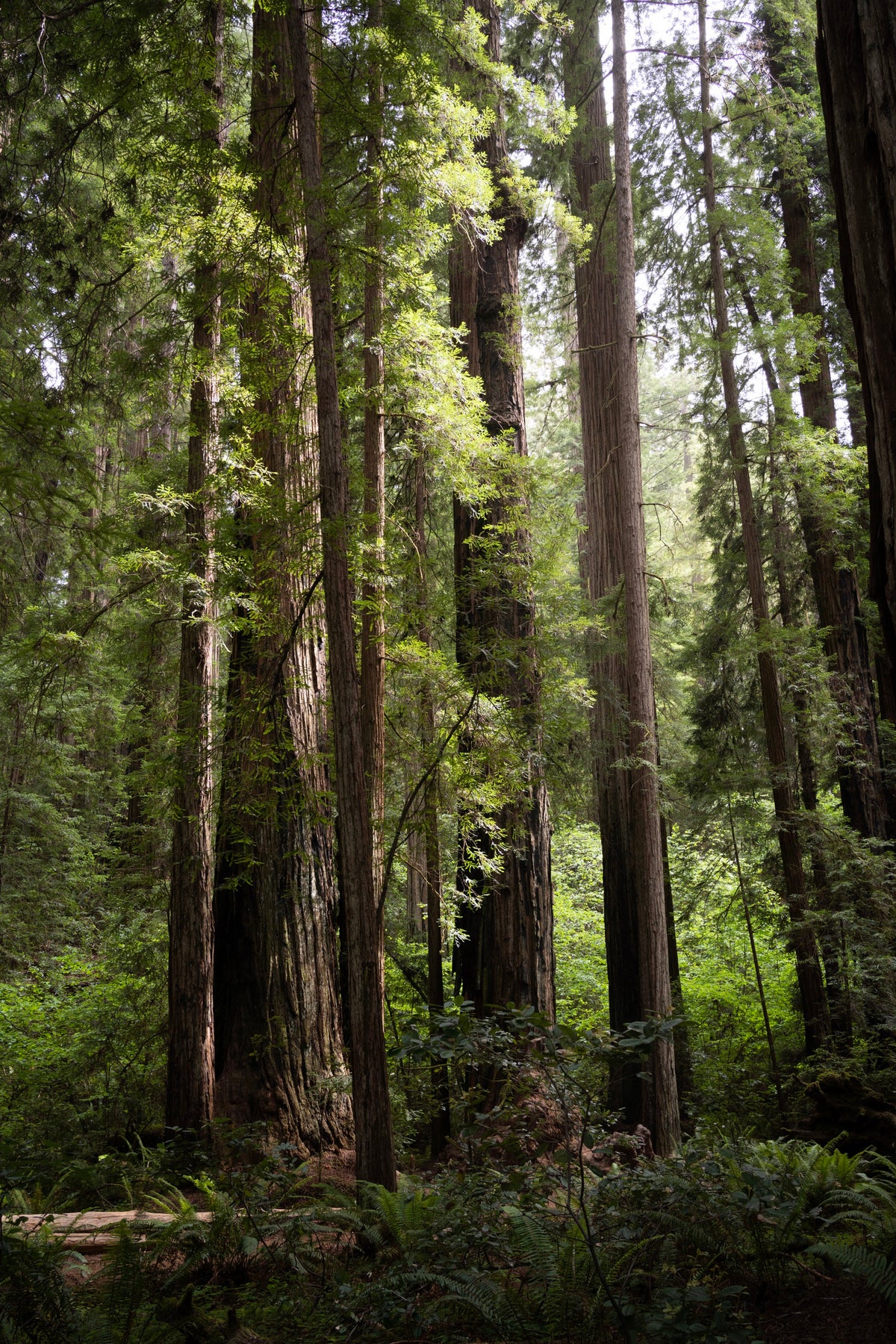 Take Me to Church | MLTSHP