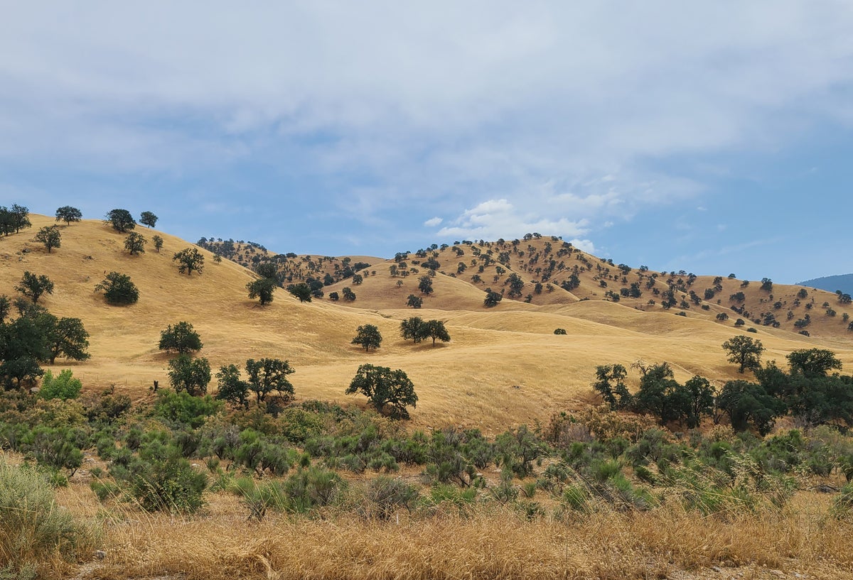 In Light Of Yesterday | MLTSHP