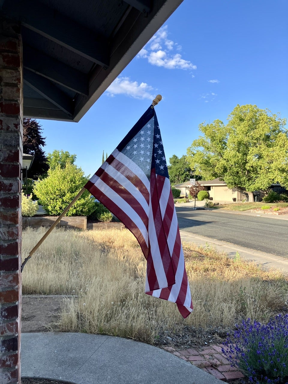 Seemed like a good day to put this out | MLTSHP