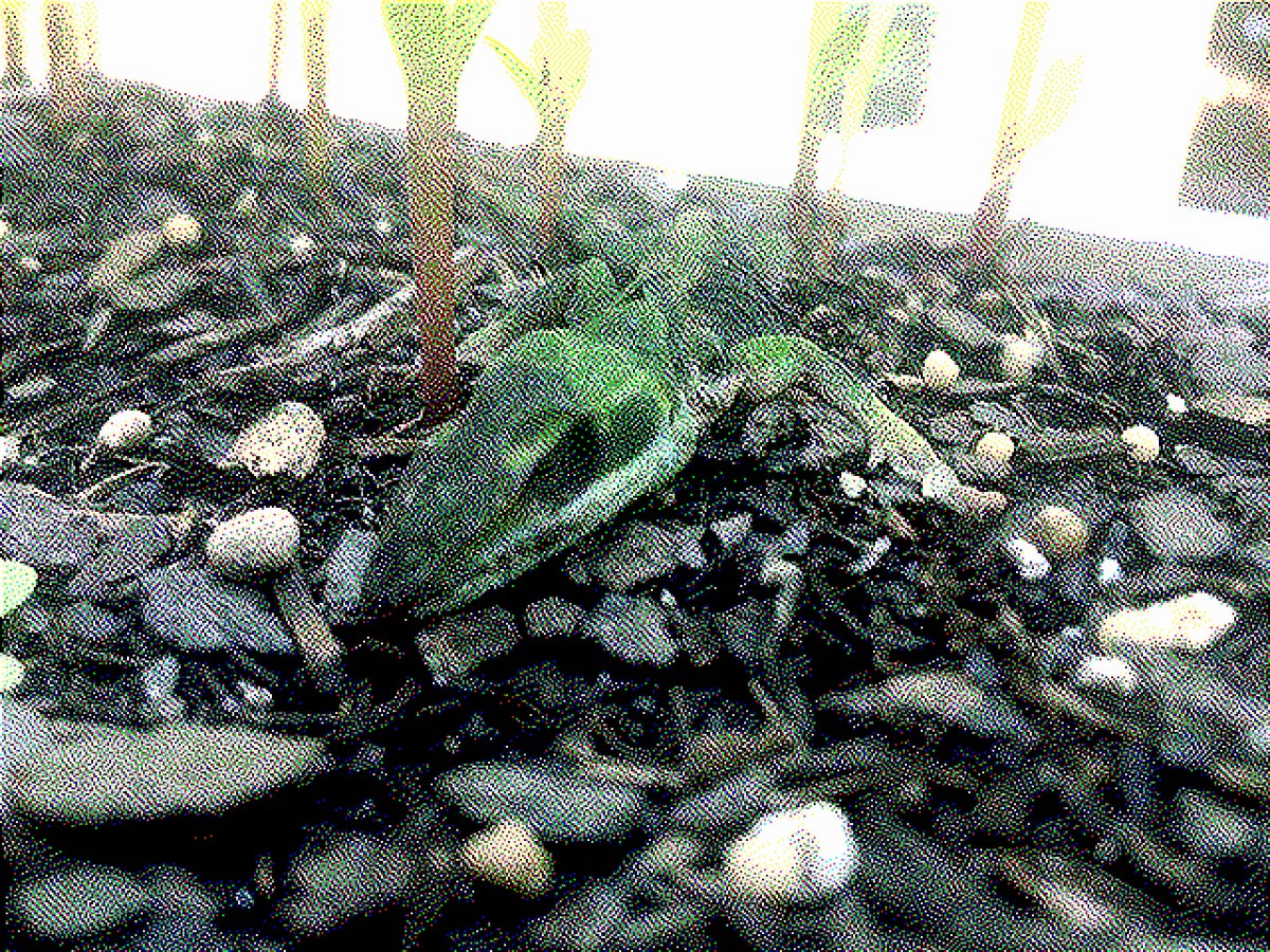 You can run on for a long time... | MLTSHP