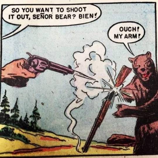 2nd amendment | MLTSHP