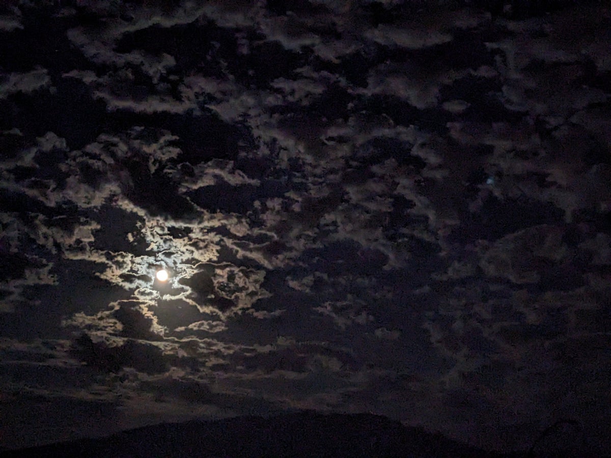 Good night moon | MLTSHP